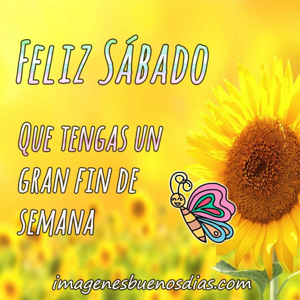 +40 Imágenes Buenos Días Sábado Frases Feliz Sábado